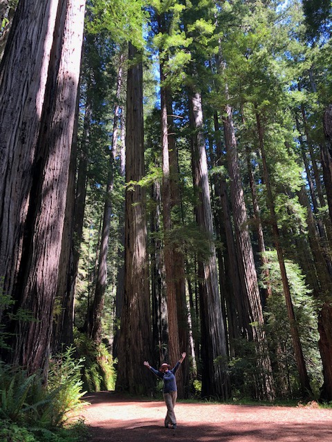 Today’s Walk: Nature’s Therapy – Perspectives From My Trail